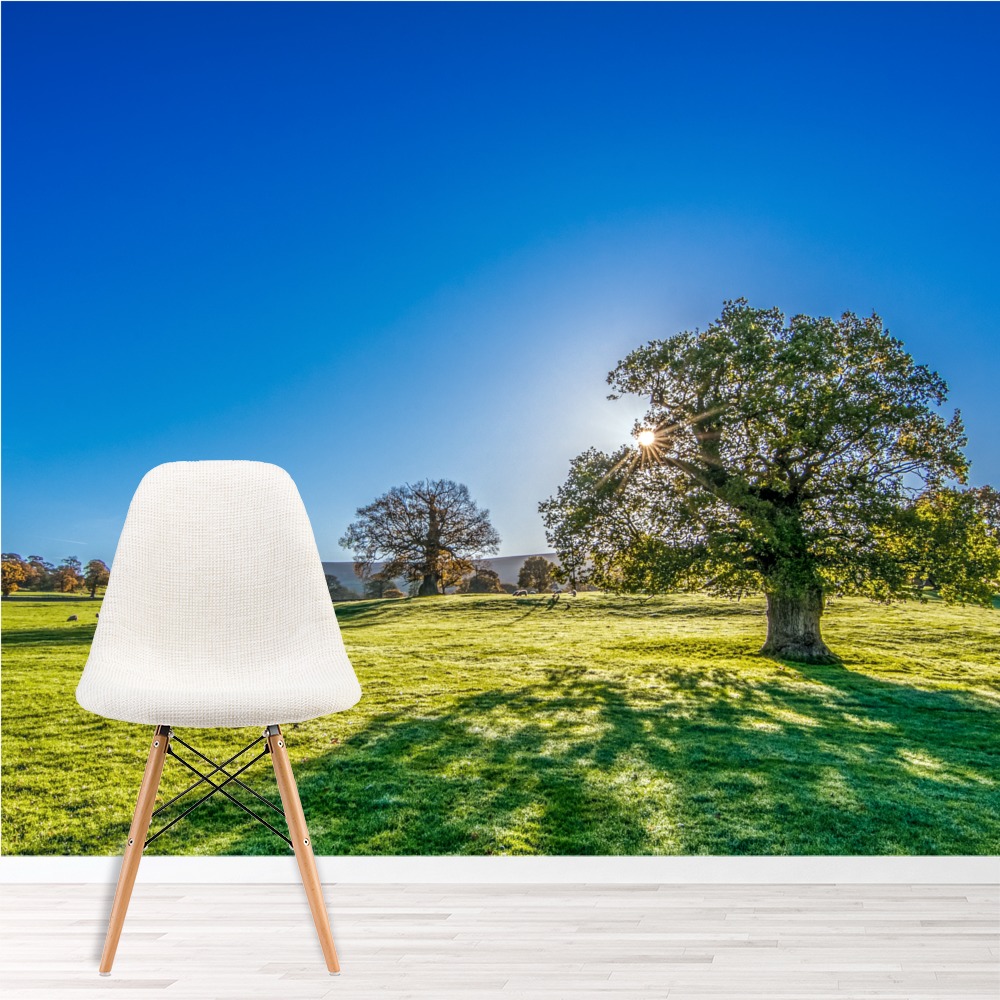 English Countryside Wall Mural by Tim Hill