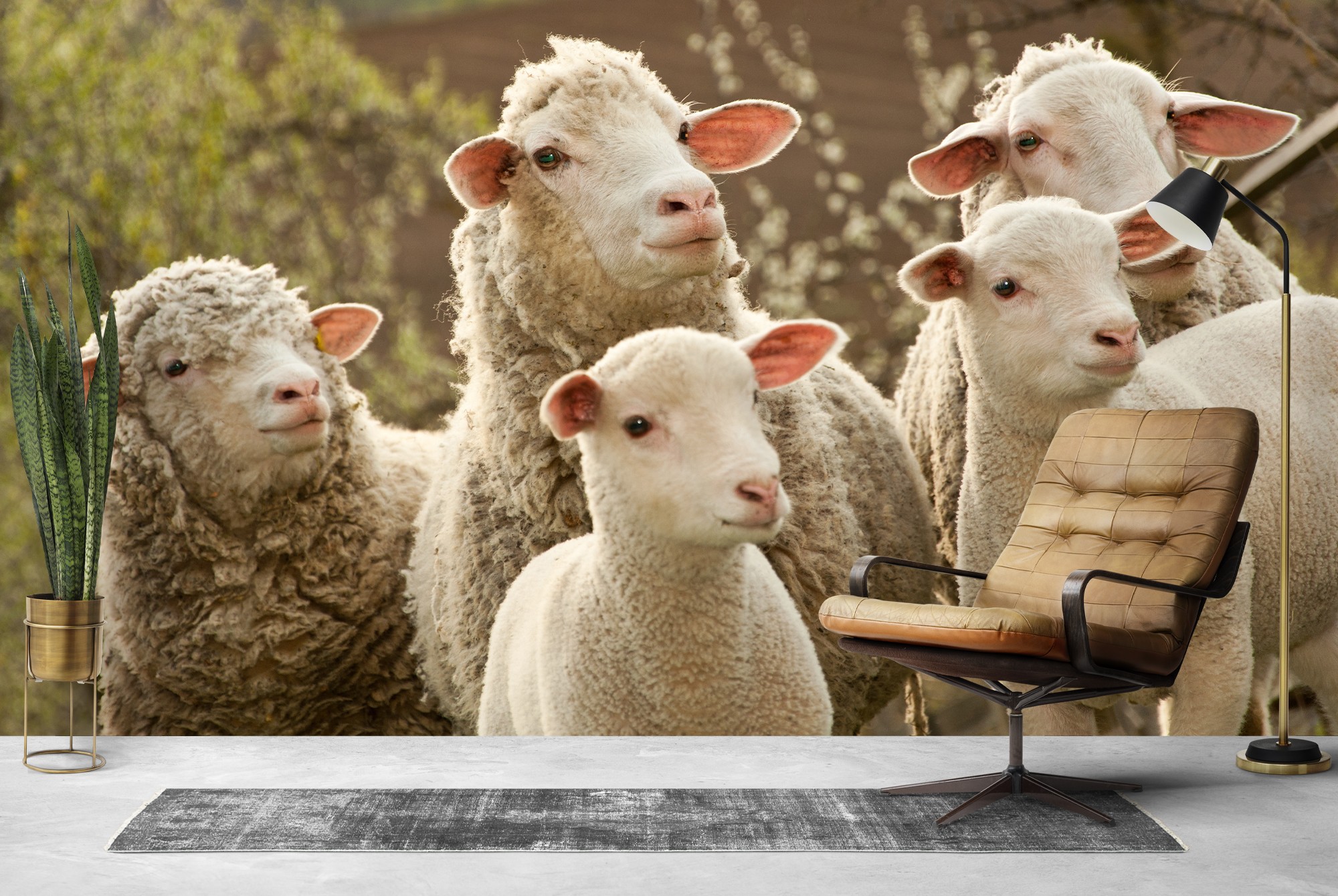 Sheep & Lamb Wallpaper Wall Mural