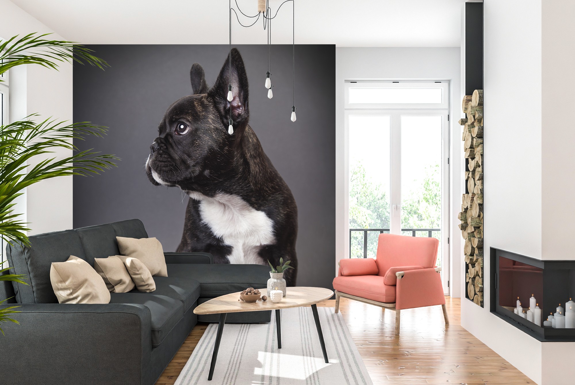 French Bulldog Wallpaper Wall Mural