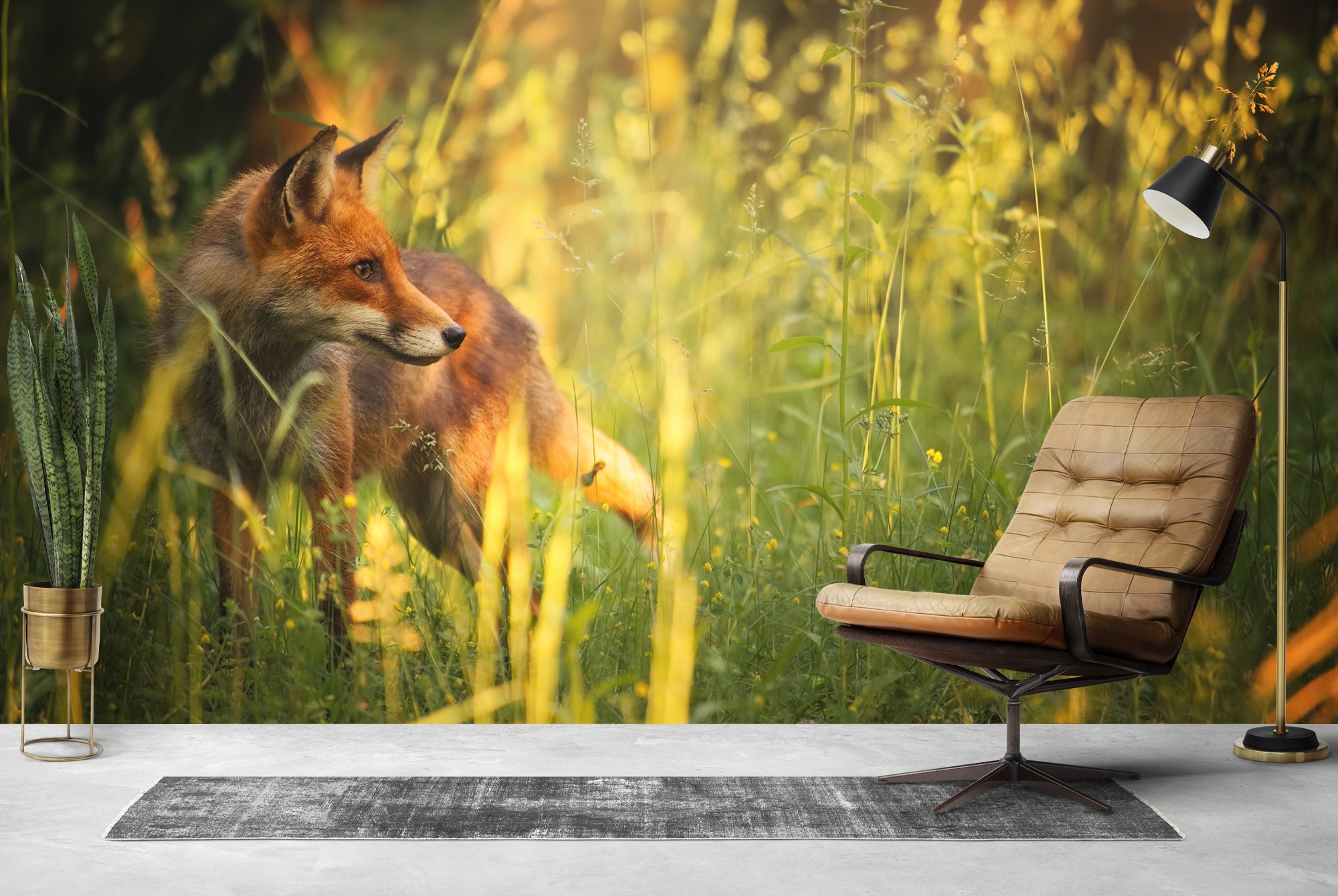 Red Fox Wallpaper Wall Mural