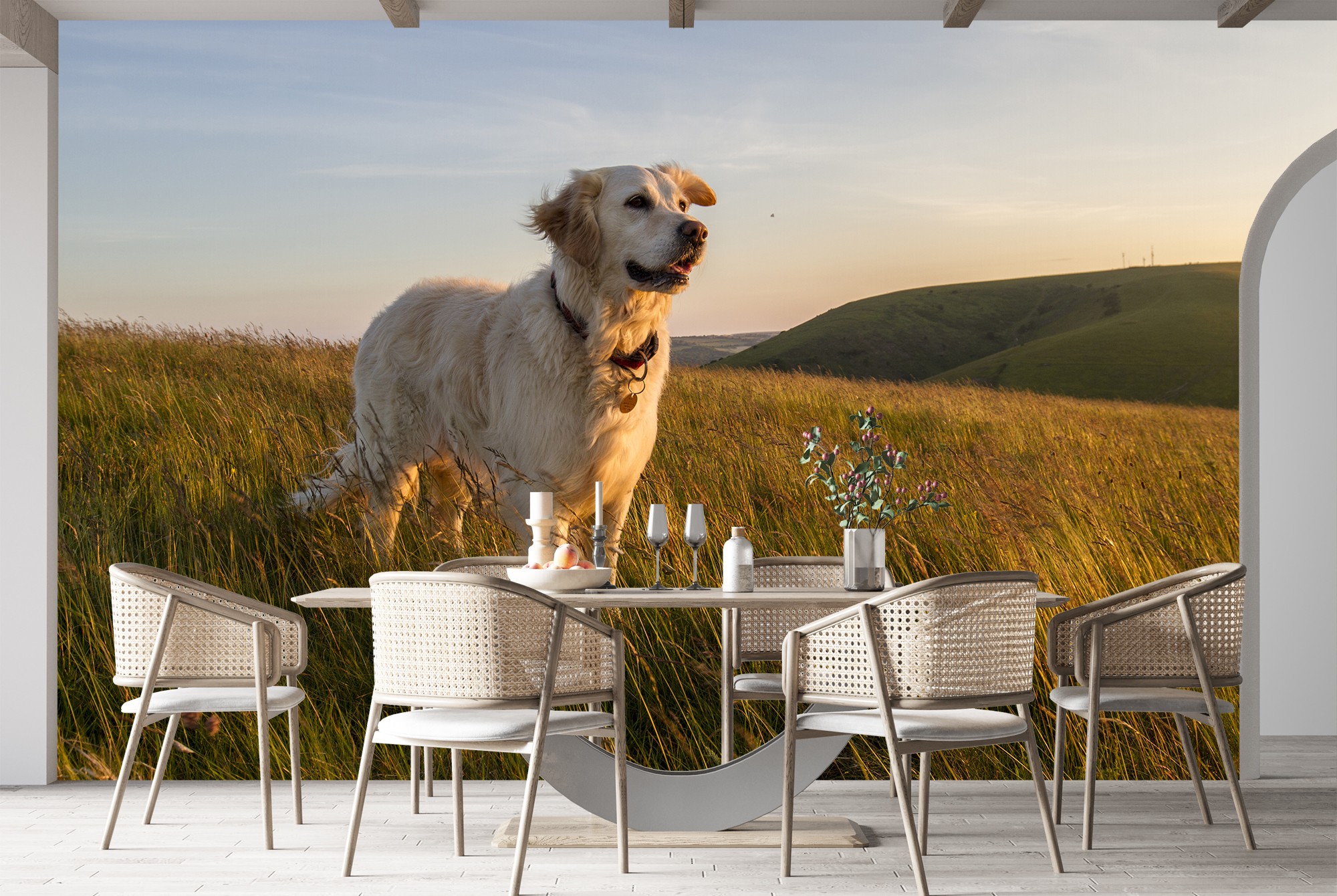 Golden Labrador Wallpaper Wall Mural
