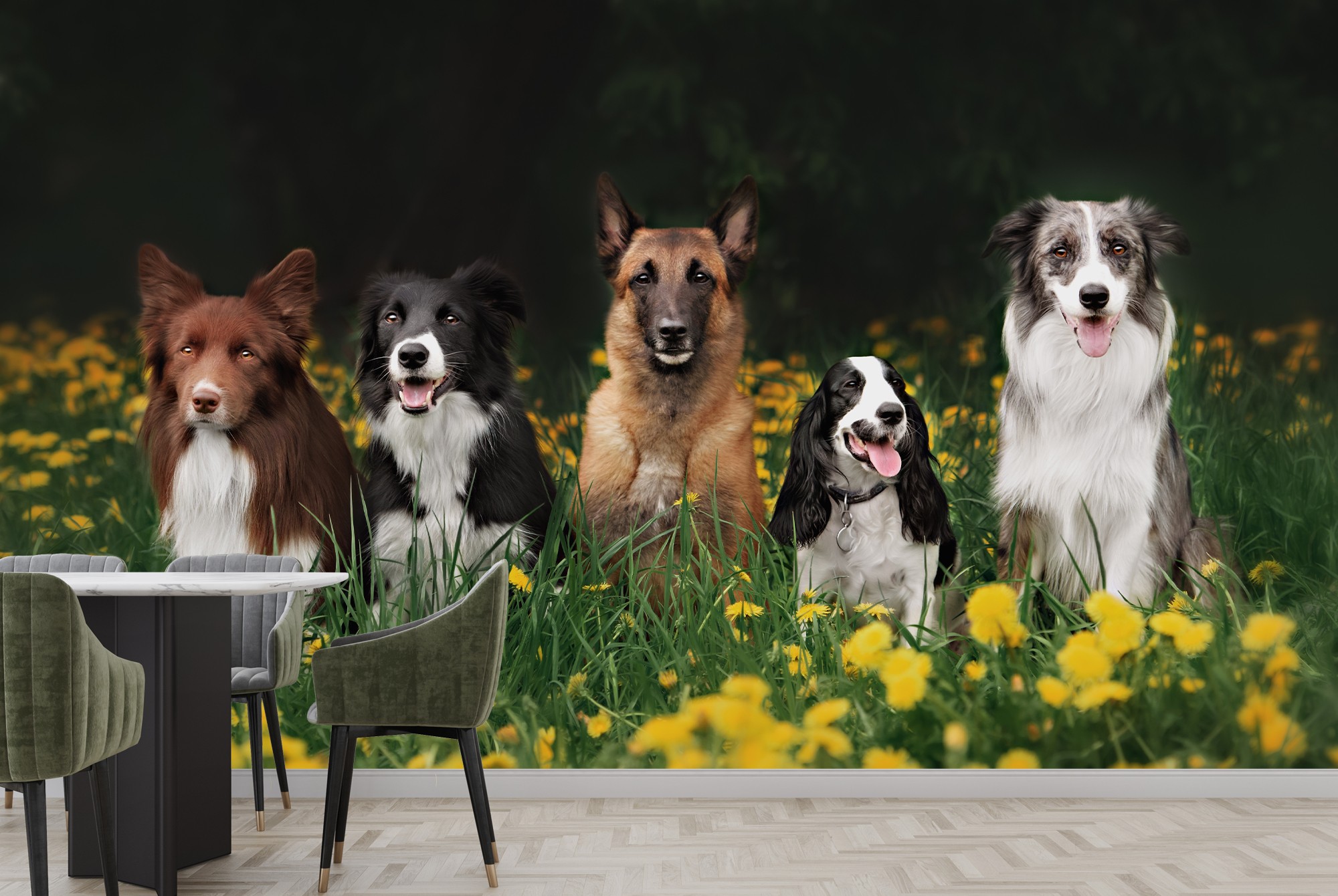 Dogs in Field Wallpaper Wall Mural