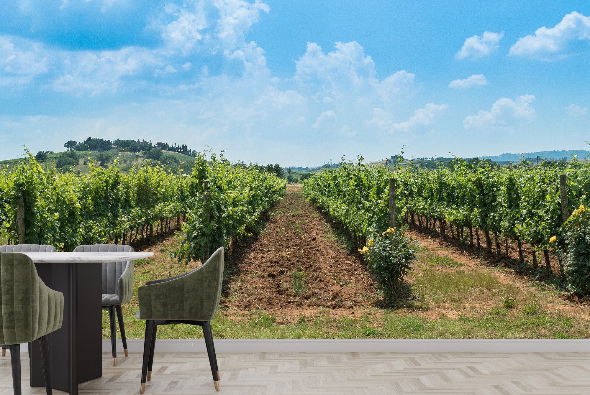 Vineyard Wallpaper Wall Mural