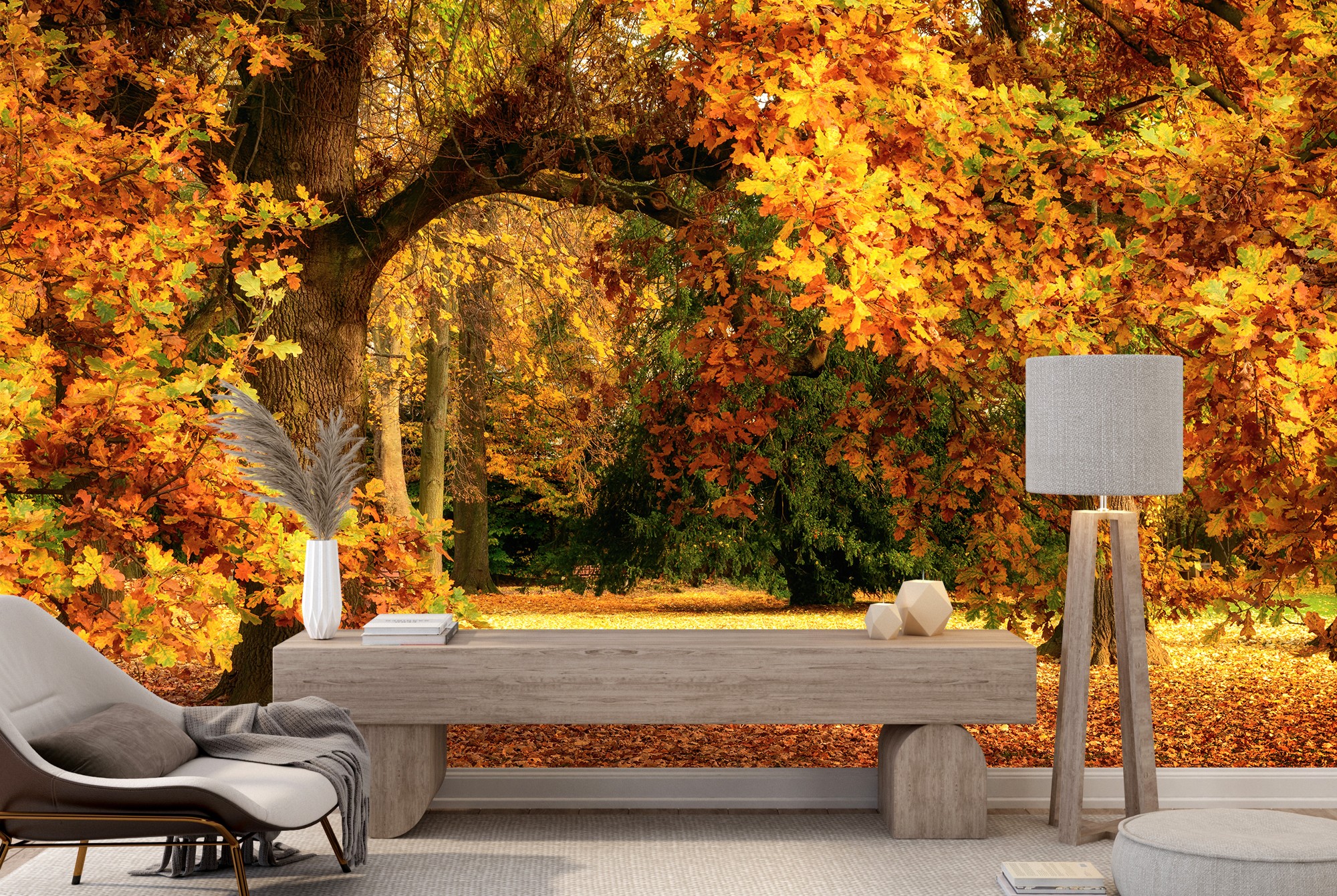 Autumn Forest Wallpaper Wall Mural