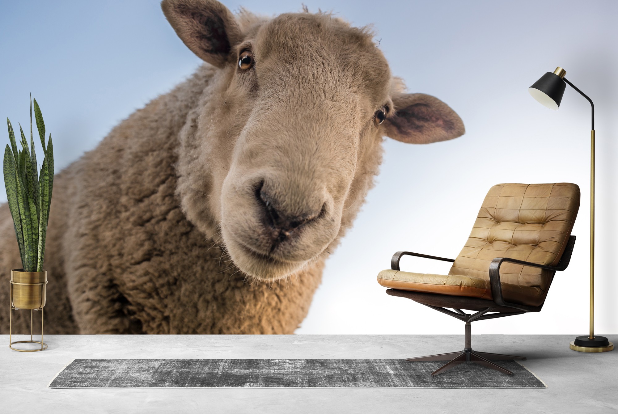 Sheep Selfie Farmyard Wallpaper Wall Mural