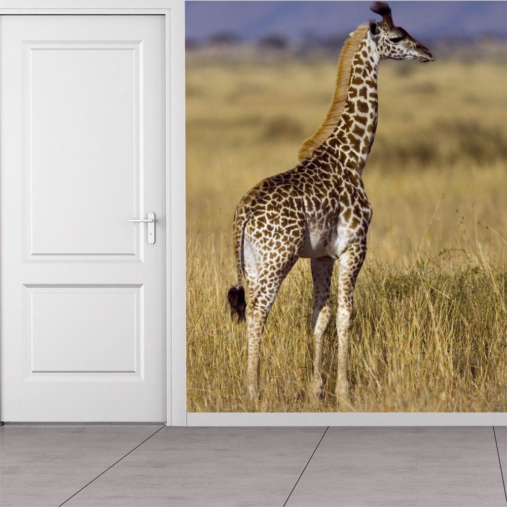 Shop Giraffe Wall Murals - Azutura