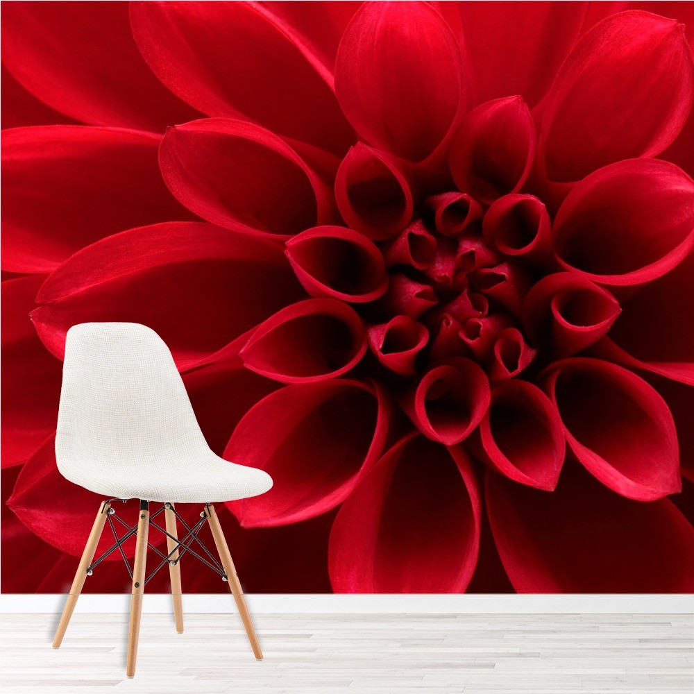 Rote Blütenblätter Fototapete Blumen Tapete Mädchen Schlafzimmer Foto ...