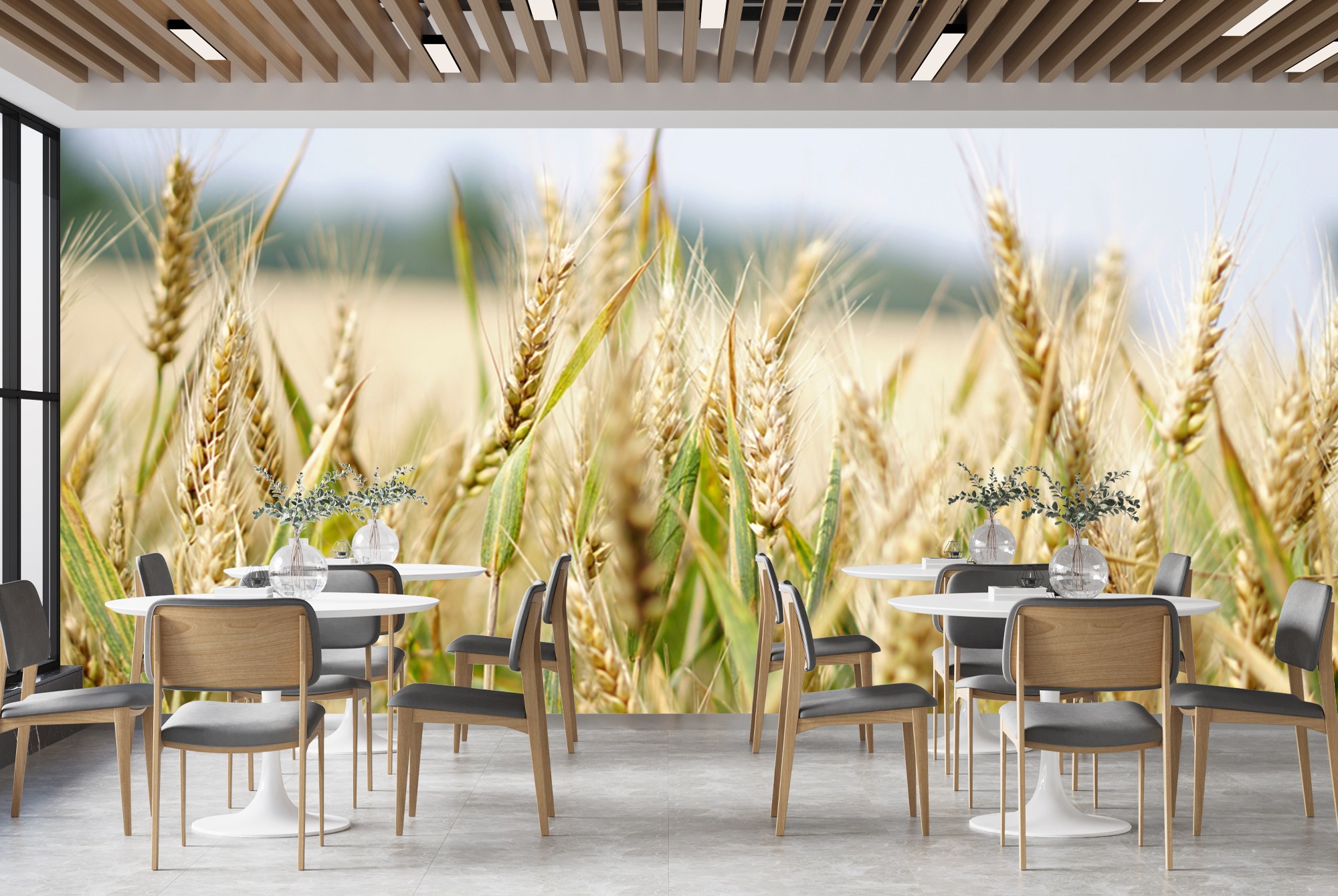 Field Of Wheat Food Kitchen Wallpaper Wall Mural