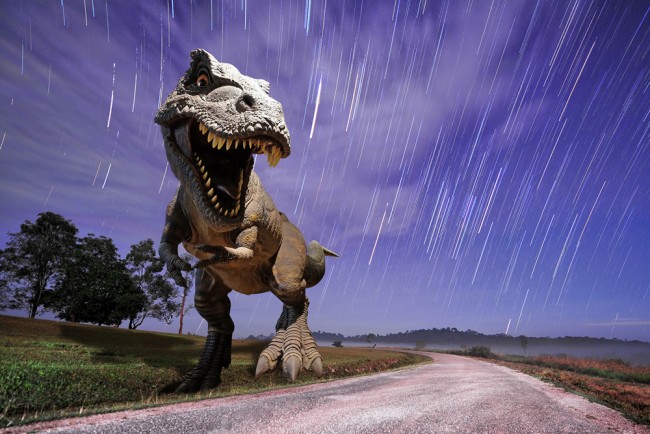 T Rex Dinosaur Jurassic Park Wallpaper Wall Mural