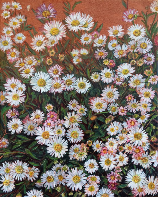 Daisy Daisy Wall Mural by Andrea Hook