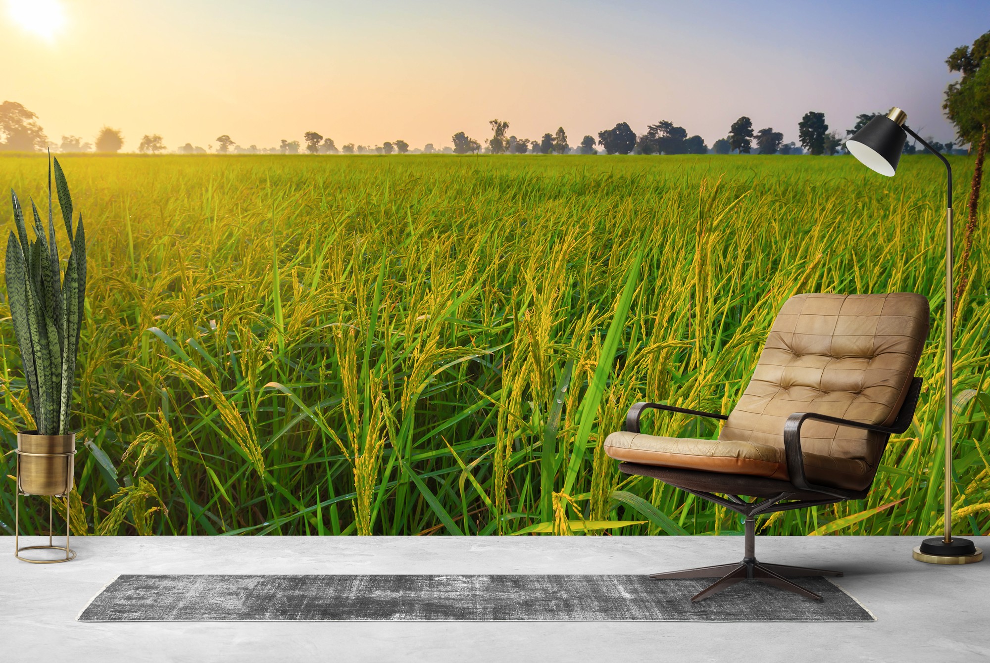 Cornfield At Sunrise Wallpaper Wall Mural