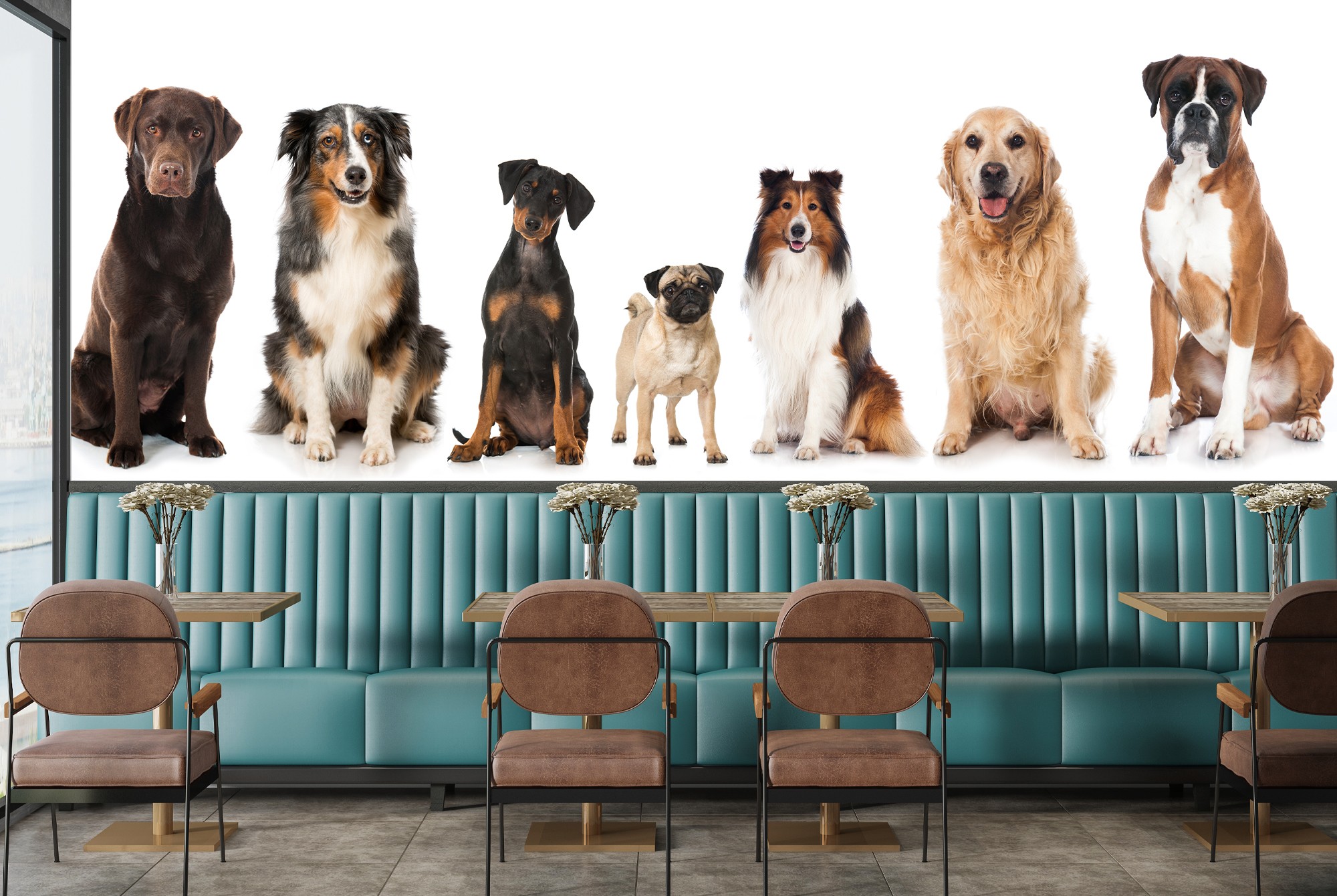 Panorama Dogs Wallpaper Wall Mural