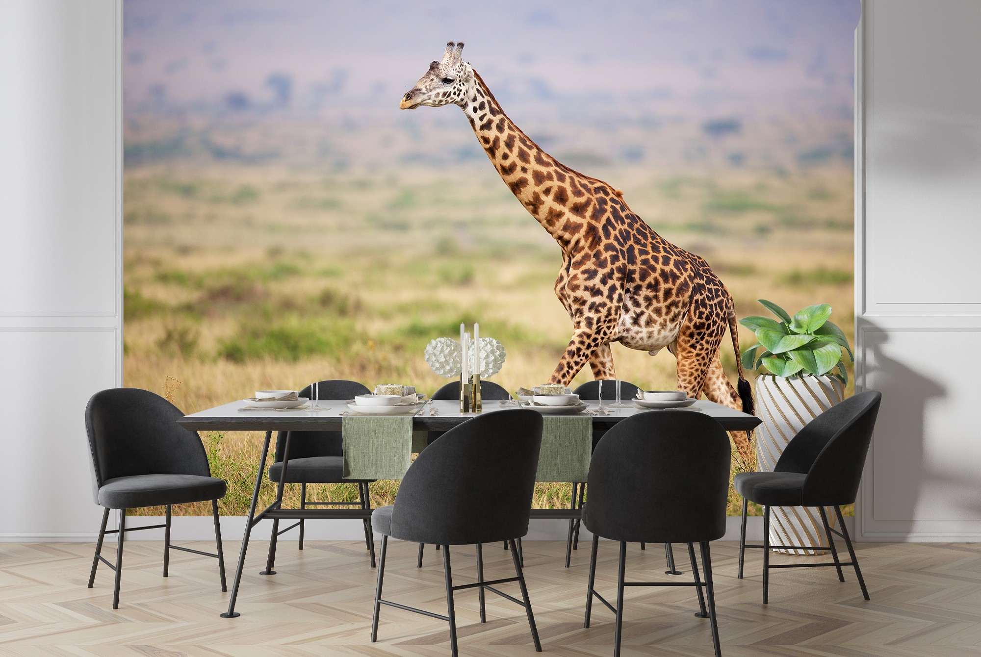 Walking Giraffe Wallpaper Wall Mural