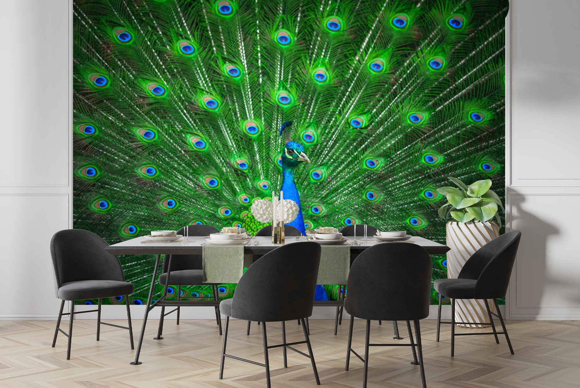 Peacock Wallpaper Wall Mural