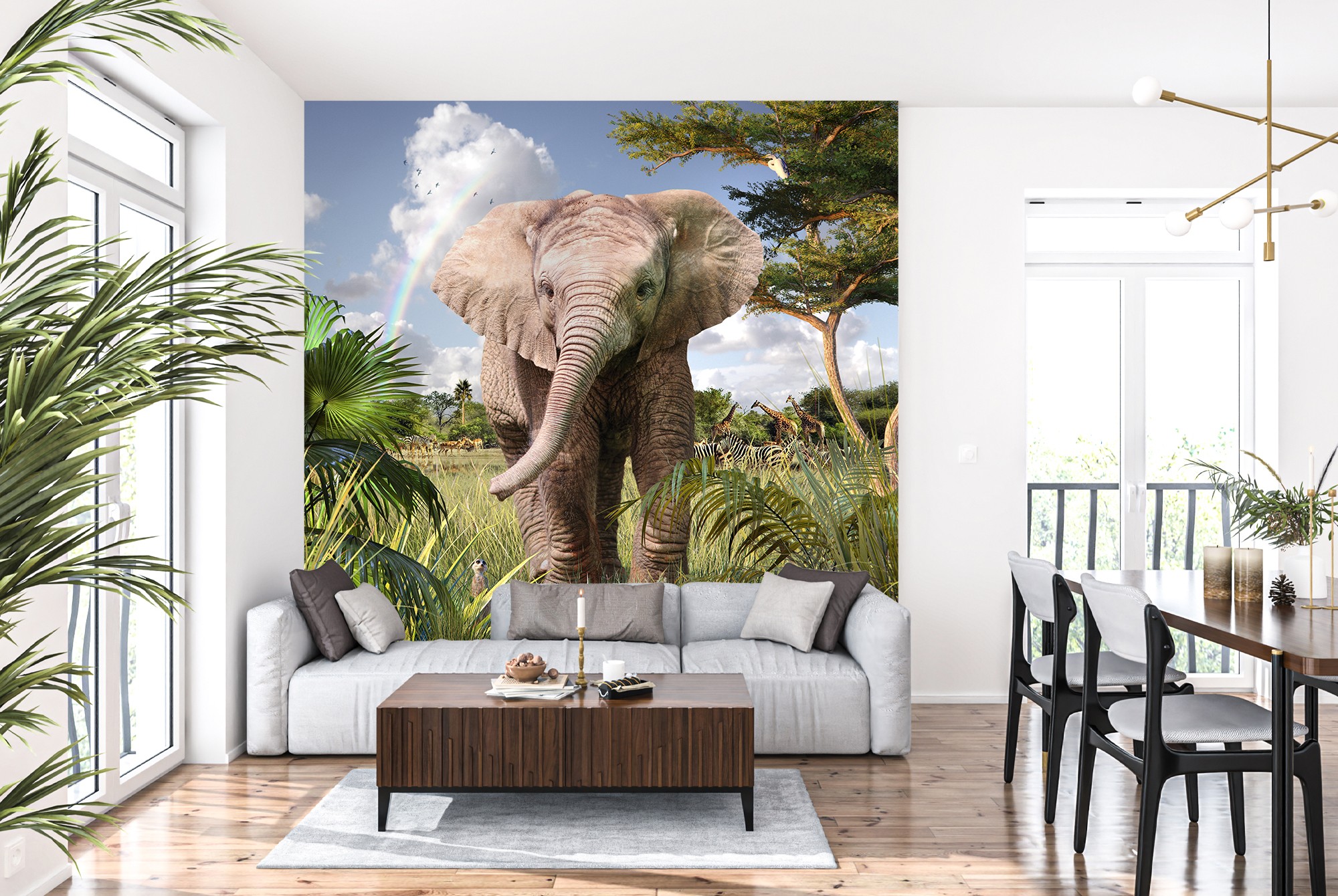 Baby Elephant Wall Mural by David Penfound