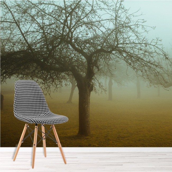 Speaking with Photographer, Tomáš Hudolin