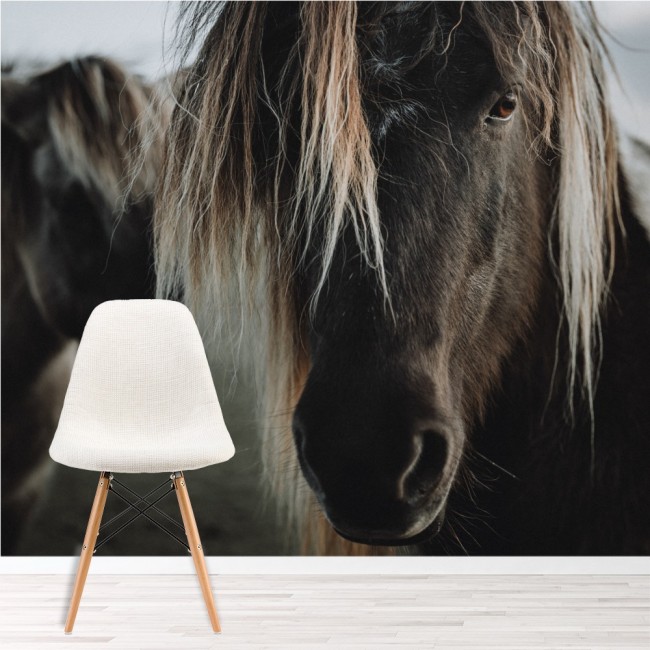 Speaking with Photographer, Tomáš Hudolin